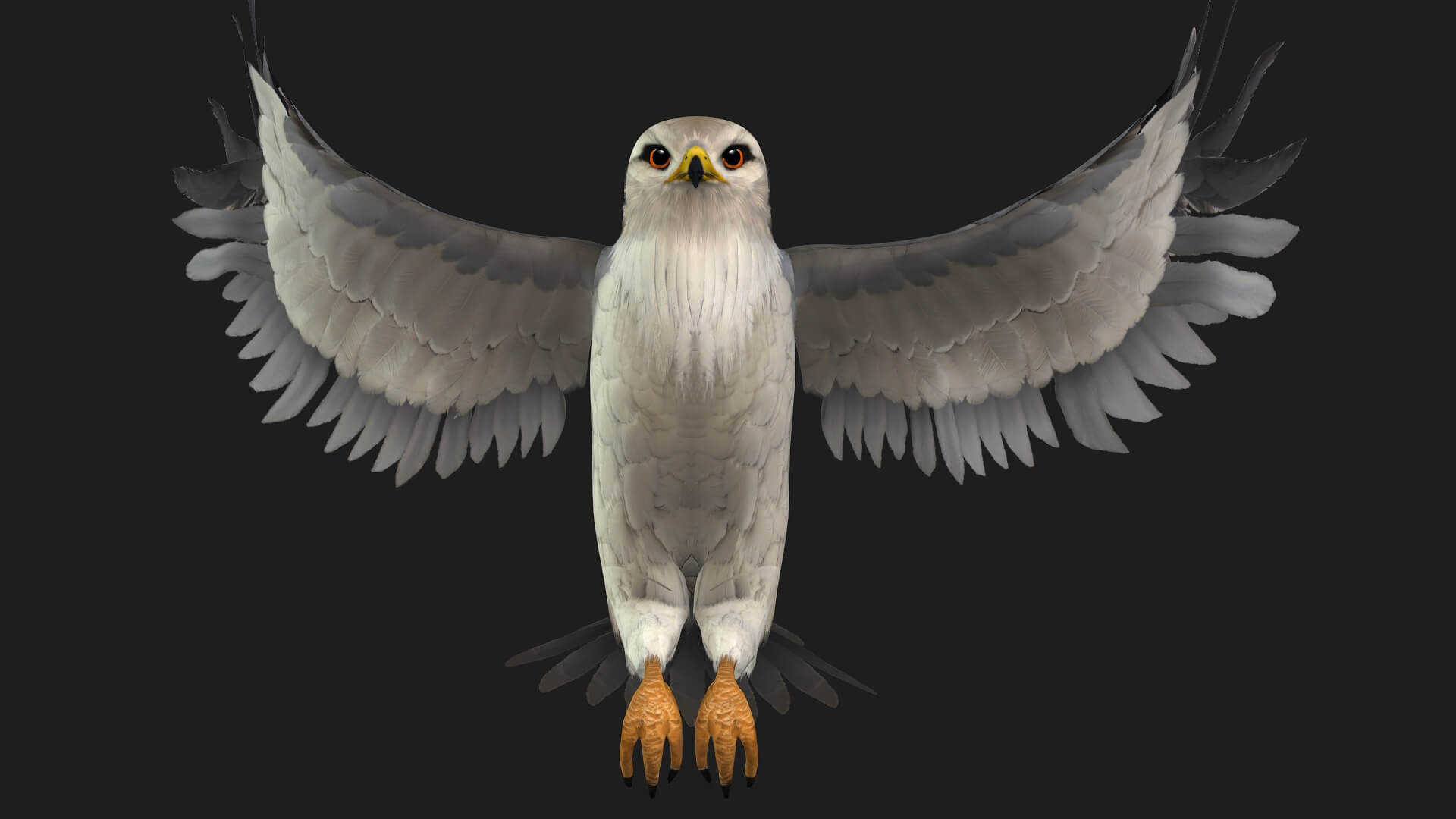 Falcon-A1-Animated 3D Model by Animated3d