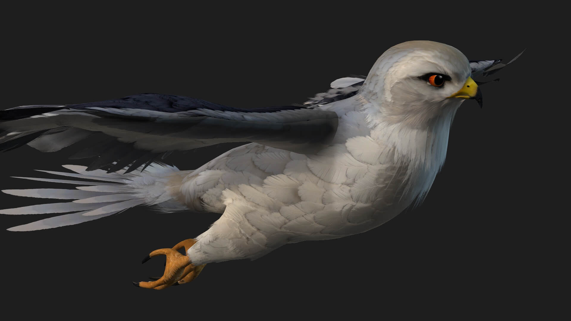 Falcon-A1-Animated 3D Model by Animated3d