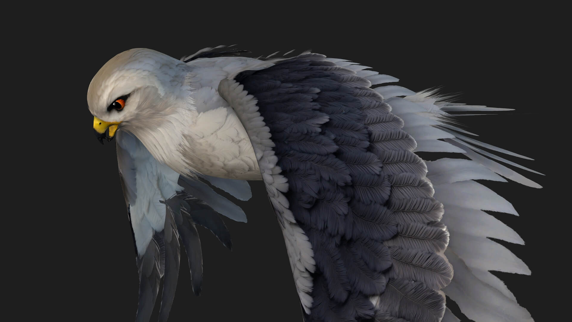 Falcon-A1-Animated 3D Model by Animated3d