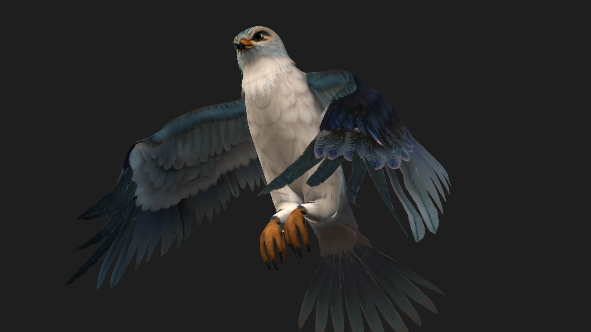Falcon-A2-Animated 3D Model by Animated3d