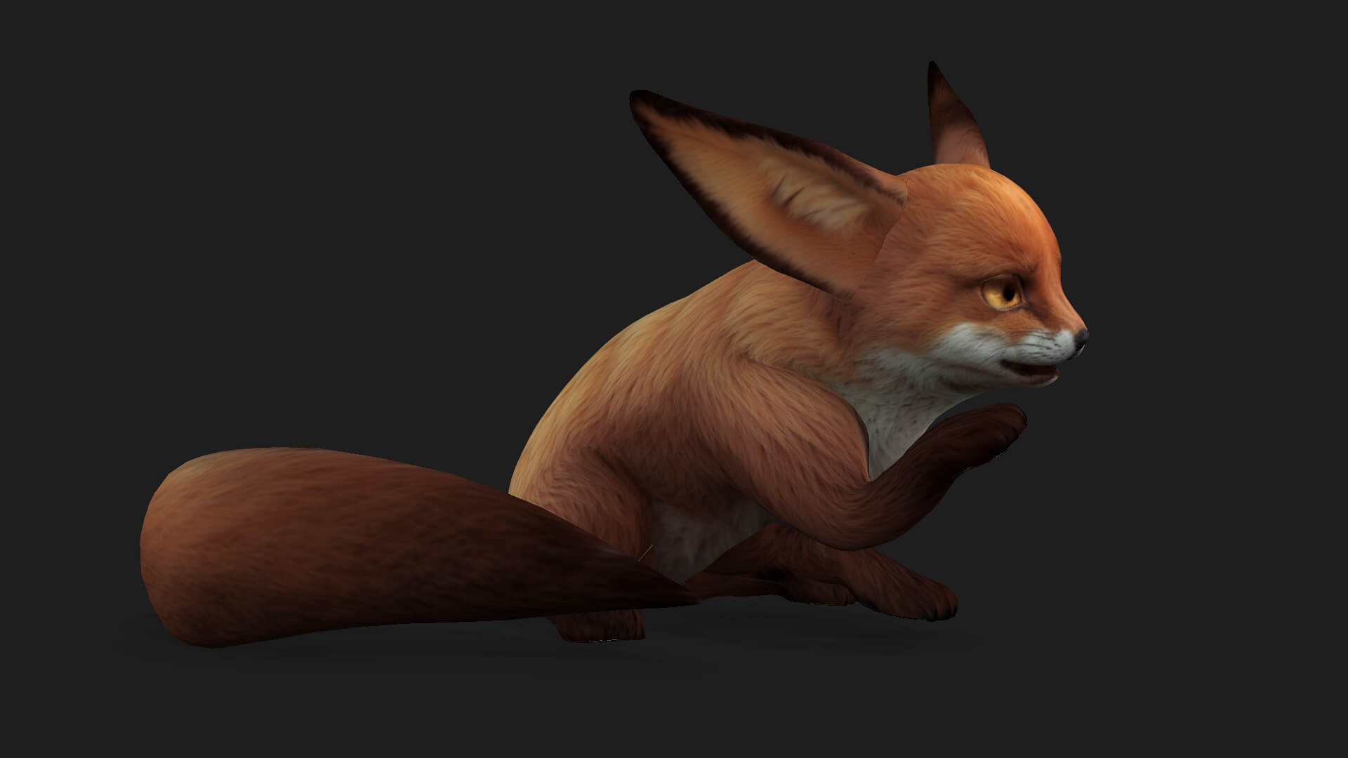 Fox A4 Animated - 3D Model by Animated3d