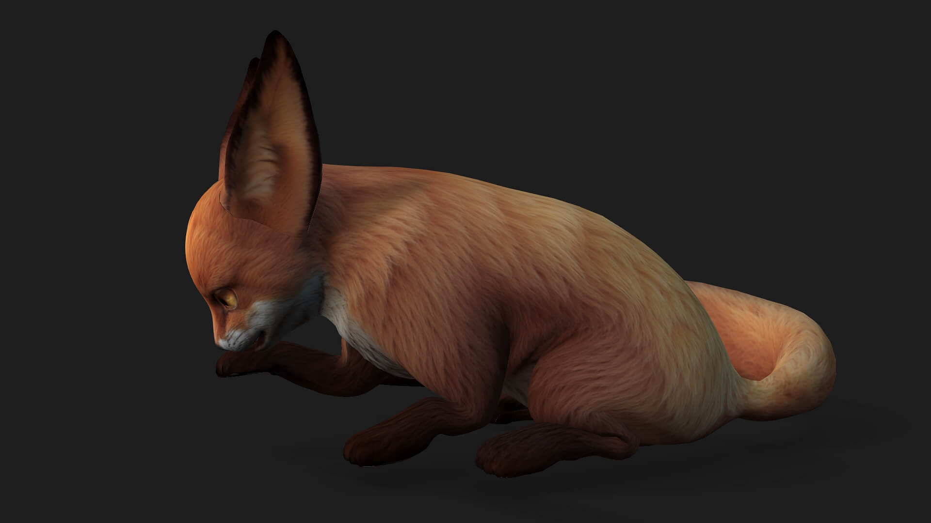 Fox A4 Animated - 3D Model by Animated3d