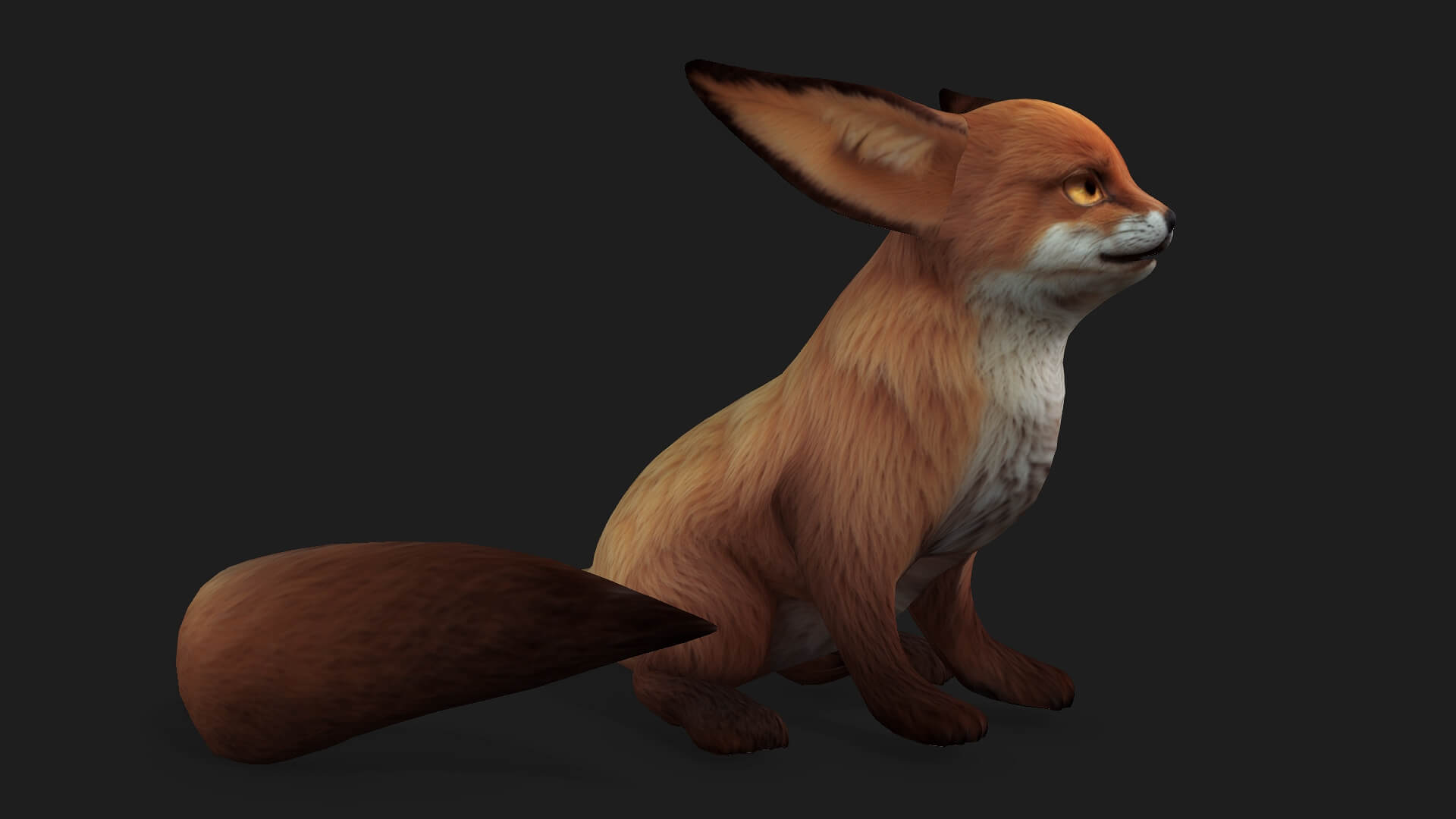 Fox A4 Animated - 3D Model by Animated3d