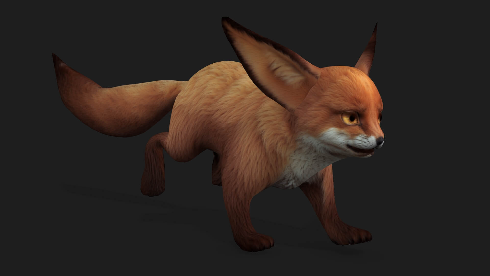 Fox A4 Animated - 3D Model by Animated3d