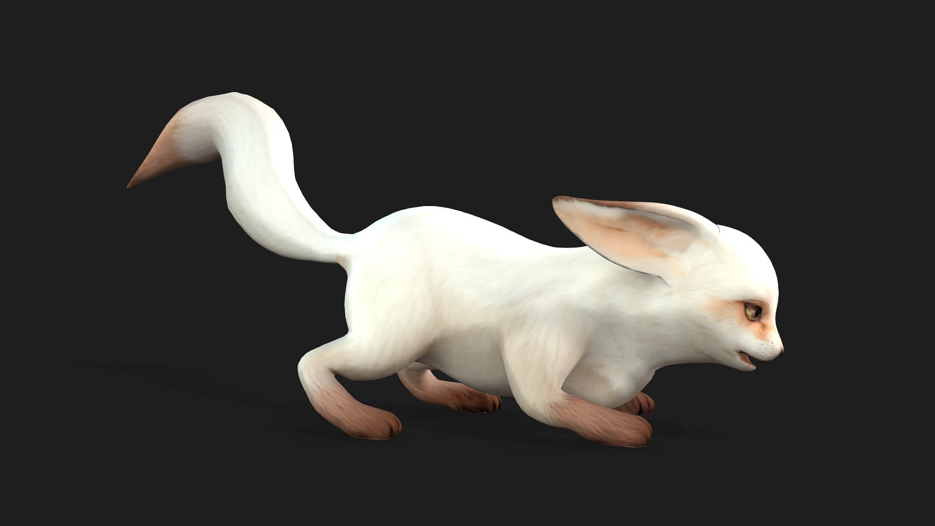 Fox A5 Animated - 3D Model by Animated3d