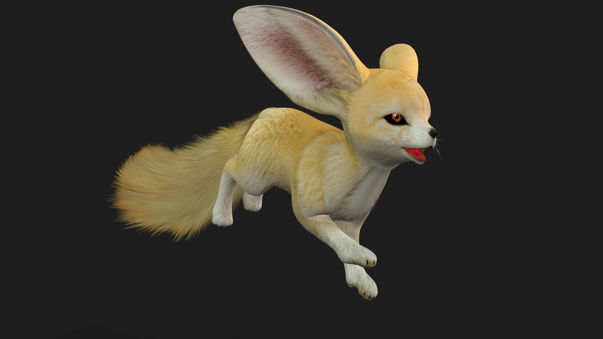 Fox-B1-Animated 3D Model by Animated3d