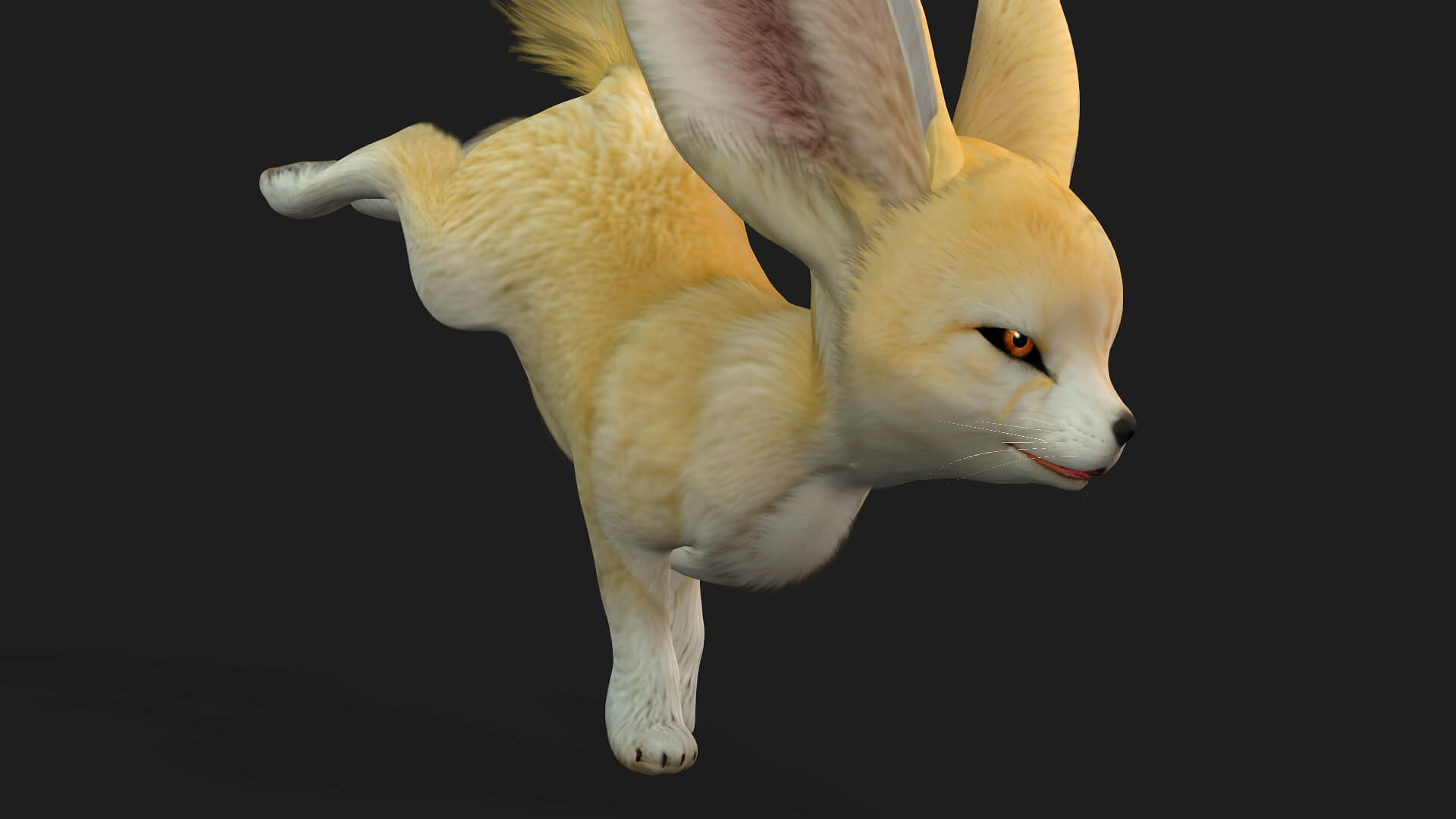 Fox-B1-Animated 3D Model by Animated3d