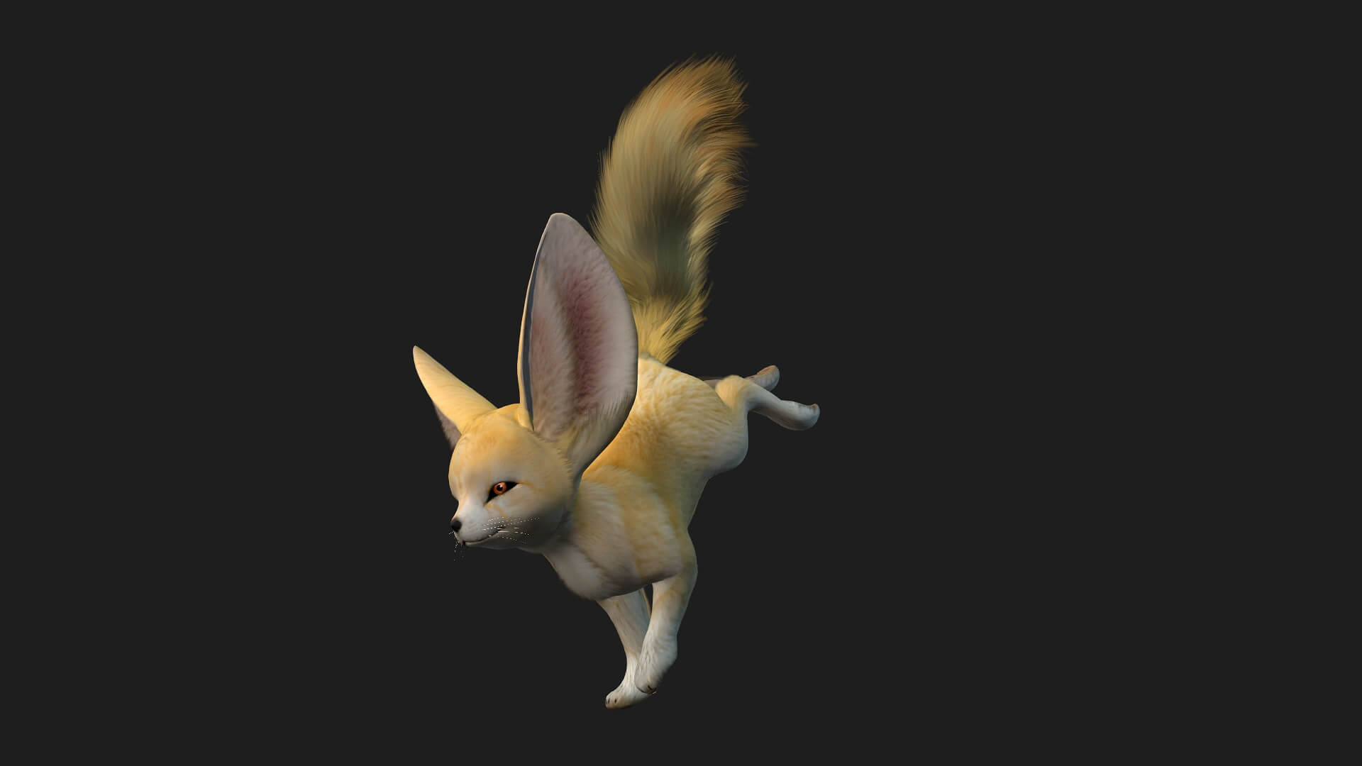 Fox-B1-Animated 3D Model by Animated3d