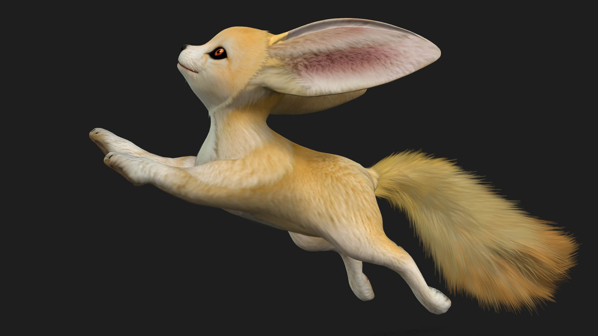 Fox-B1-Animated 3D Model by Animated3d