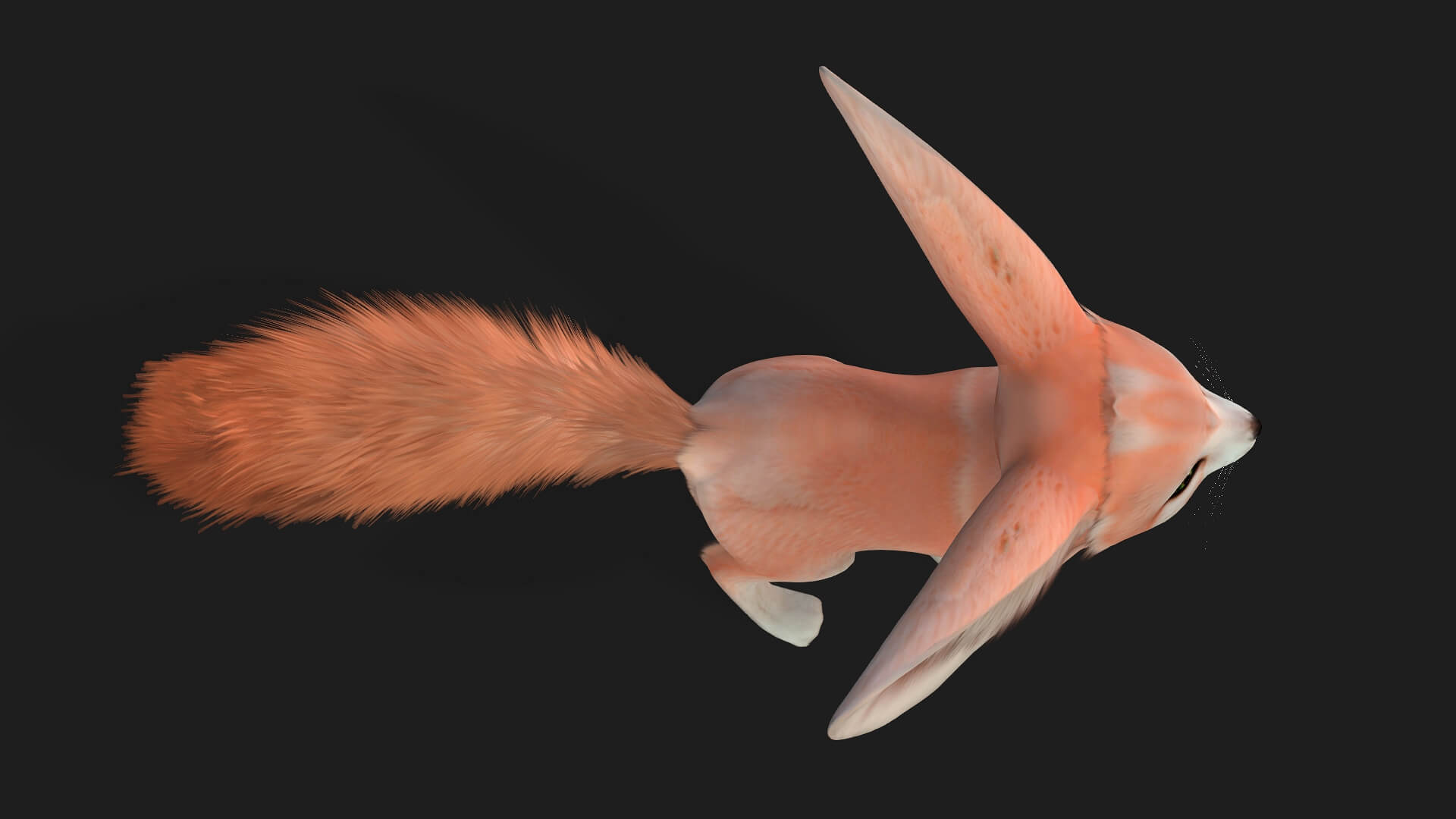 Fox-B2-Animated 3D Model by Animated3d