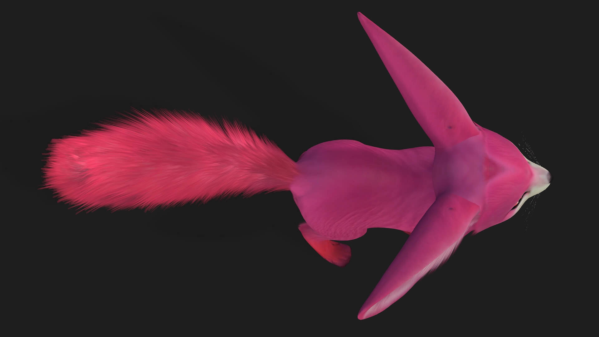 Fox-B5-Animated 3D Model by Animated3d