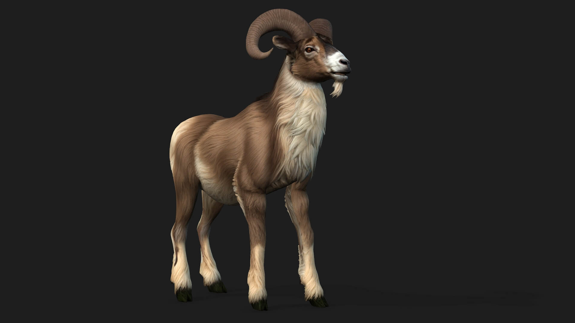 Goat-B1-Animated 3D Model by Animated3d