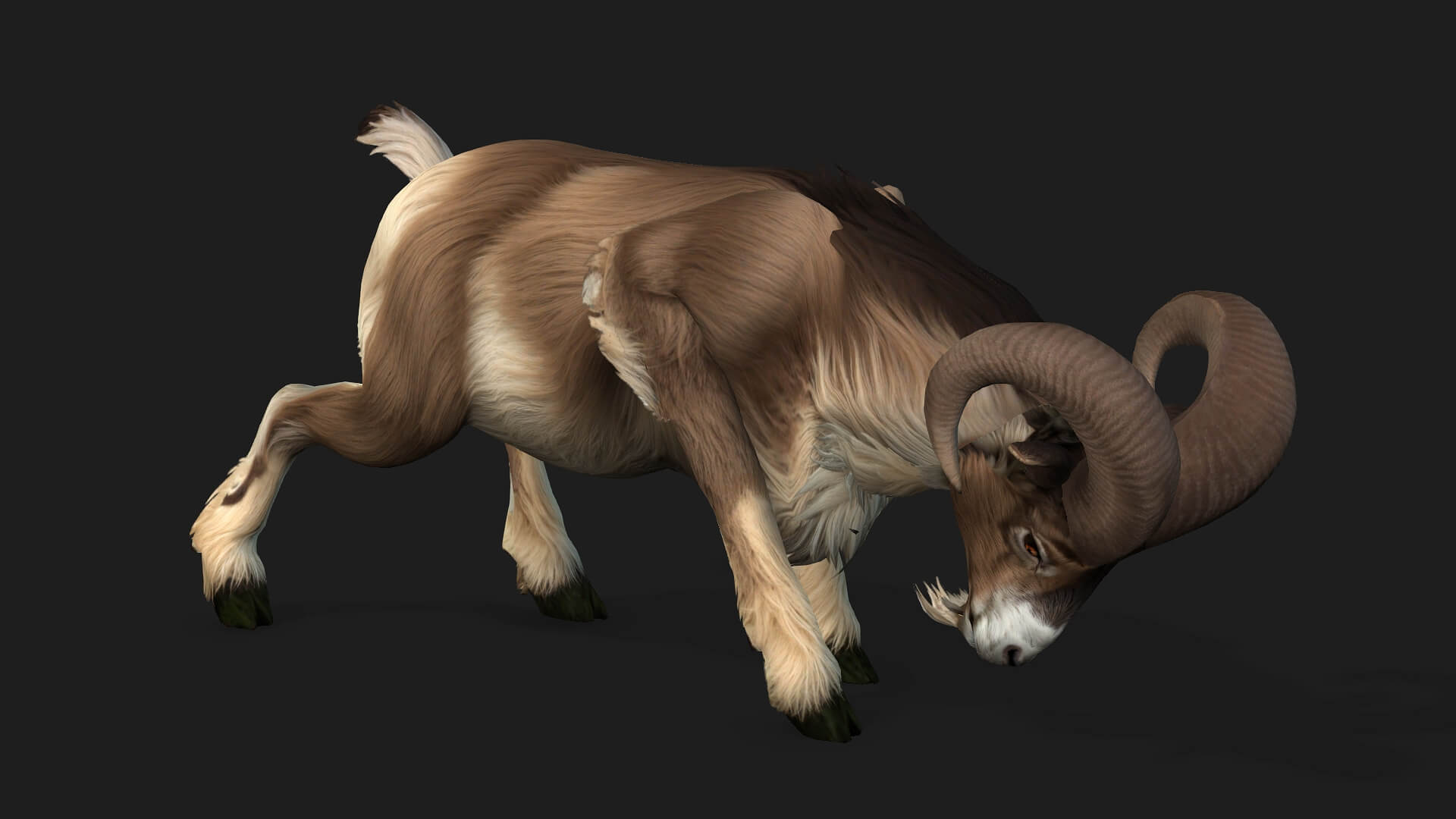 Goat-B1-Animated 3D Model by Animated3d