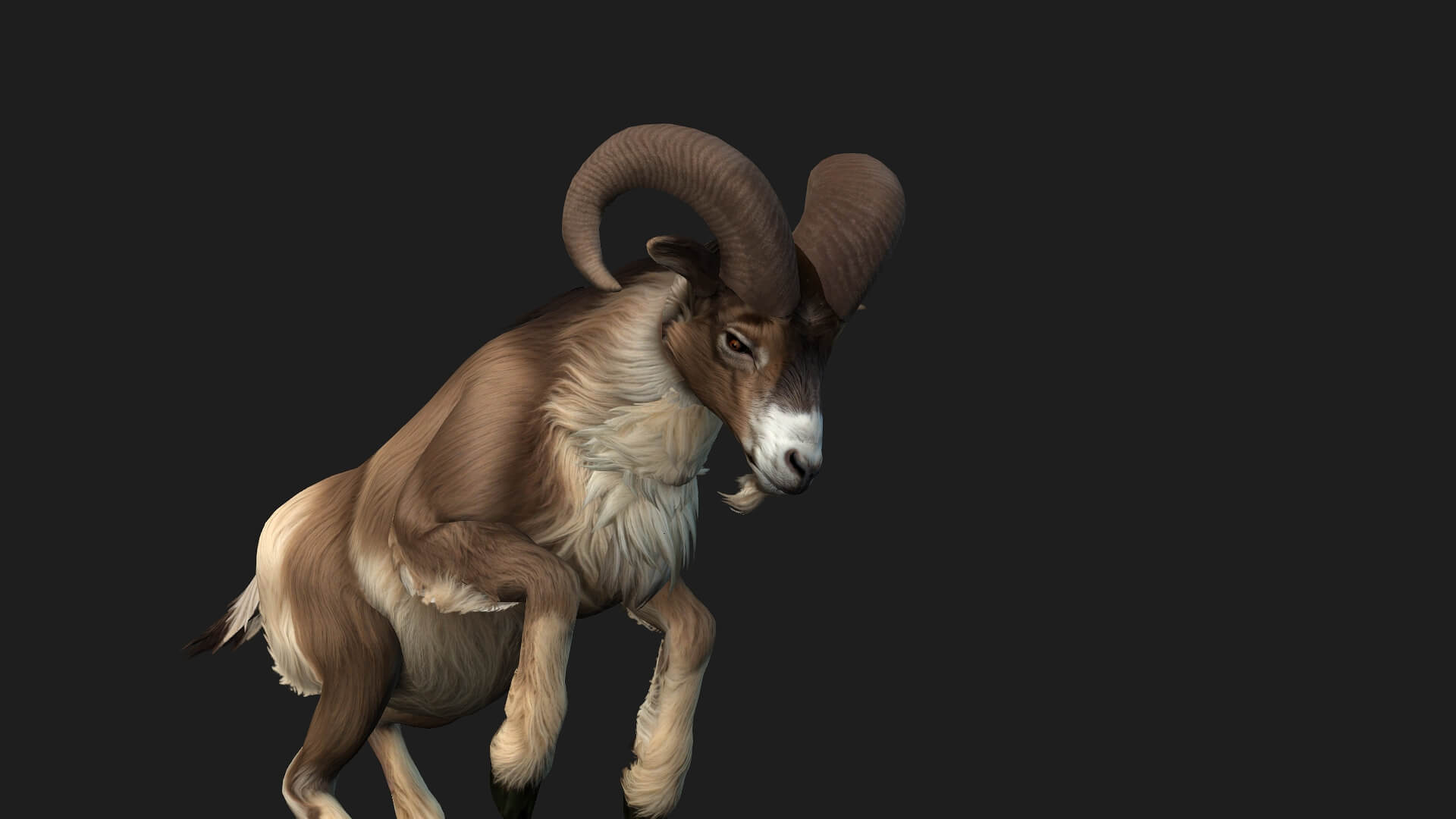 Goat-B1-Animated 3D Model by Animated3d