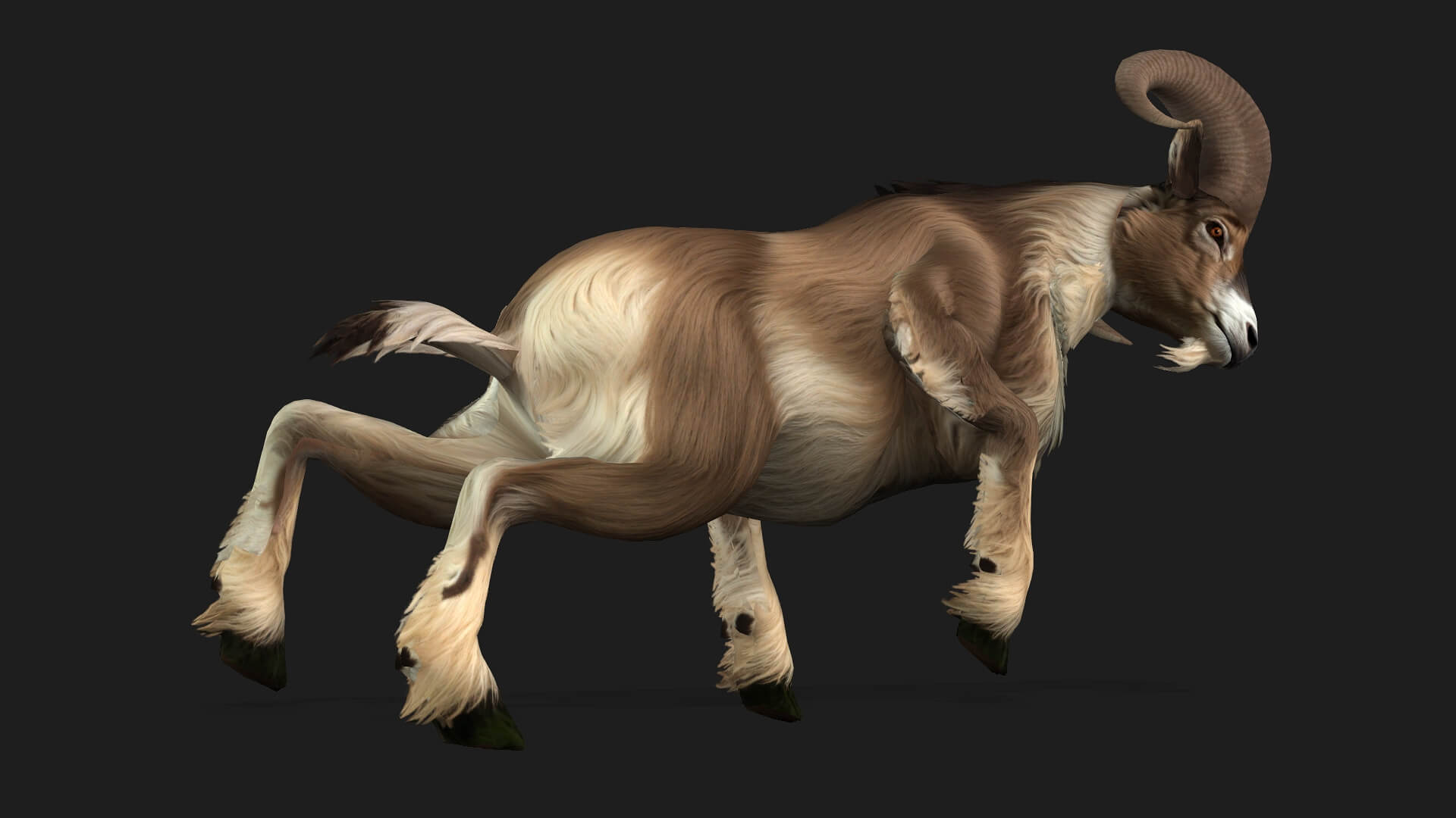 Goat-B1-Animated 3D Model by Animated3d