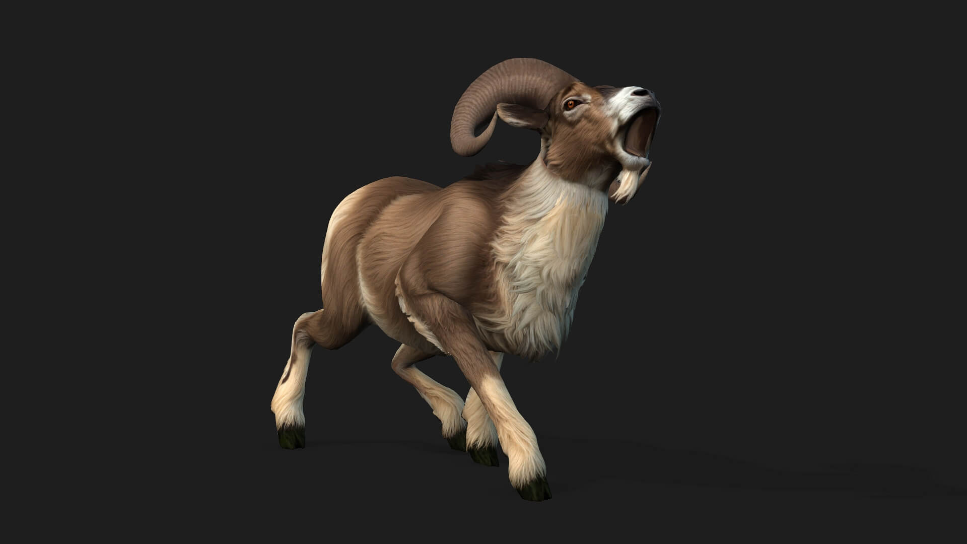 Goat-B1-Animated 3D Model by Animated3d