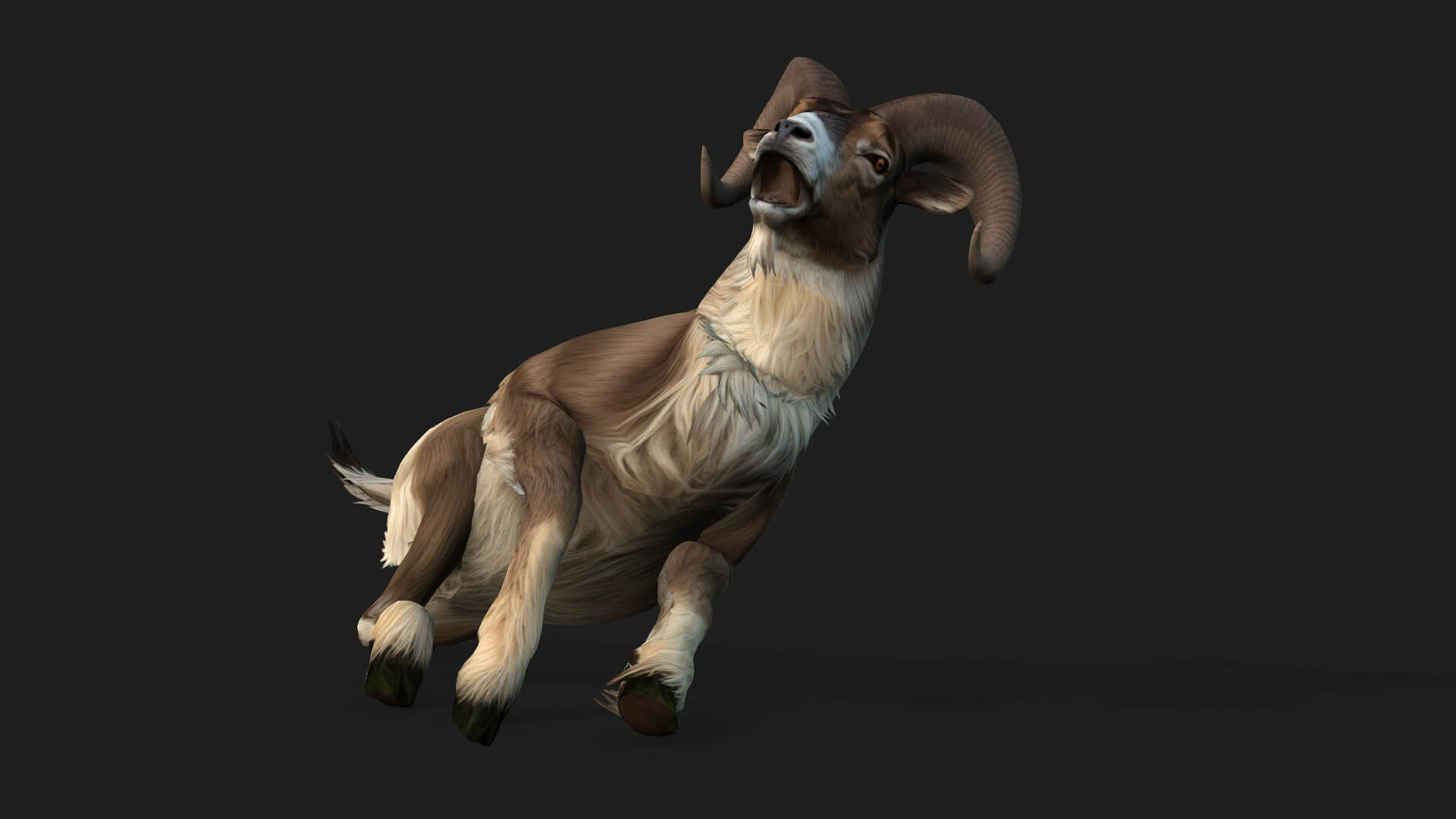 Goat-B1-Animated 3D Model by Animated3d