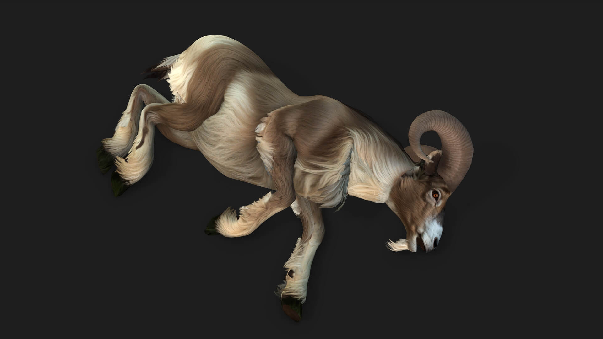 Goat-B1-Animated 3D Model by Animated3d