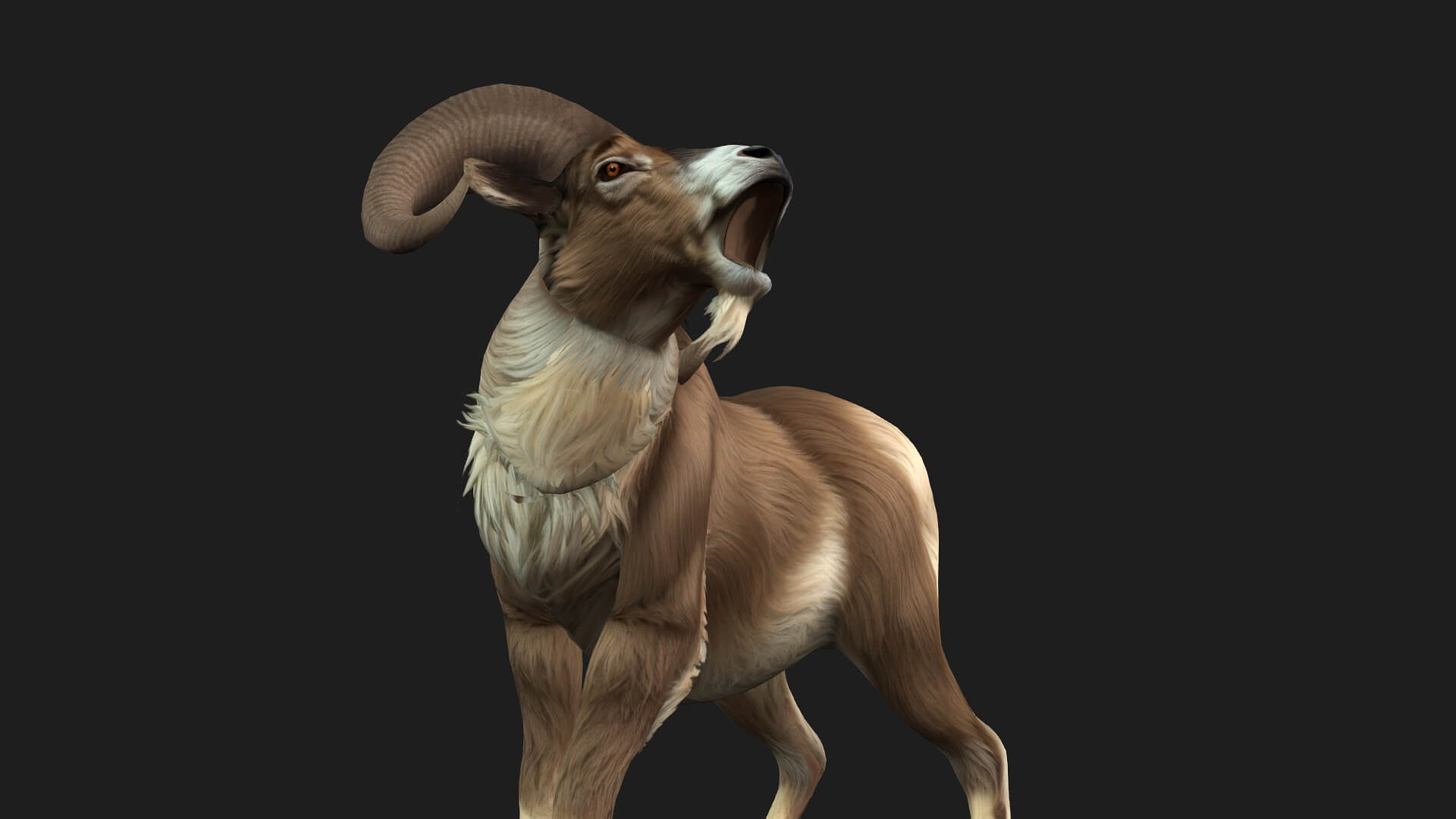 Goat-B1-Animated 3D Model by Animated3d