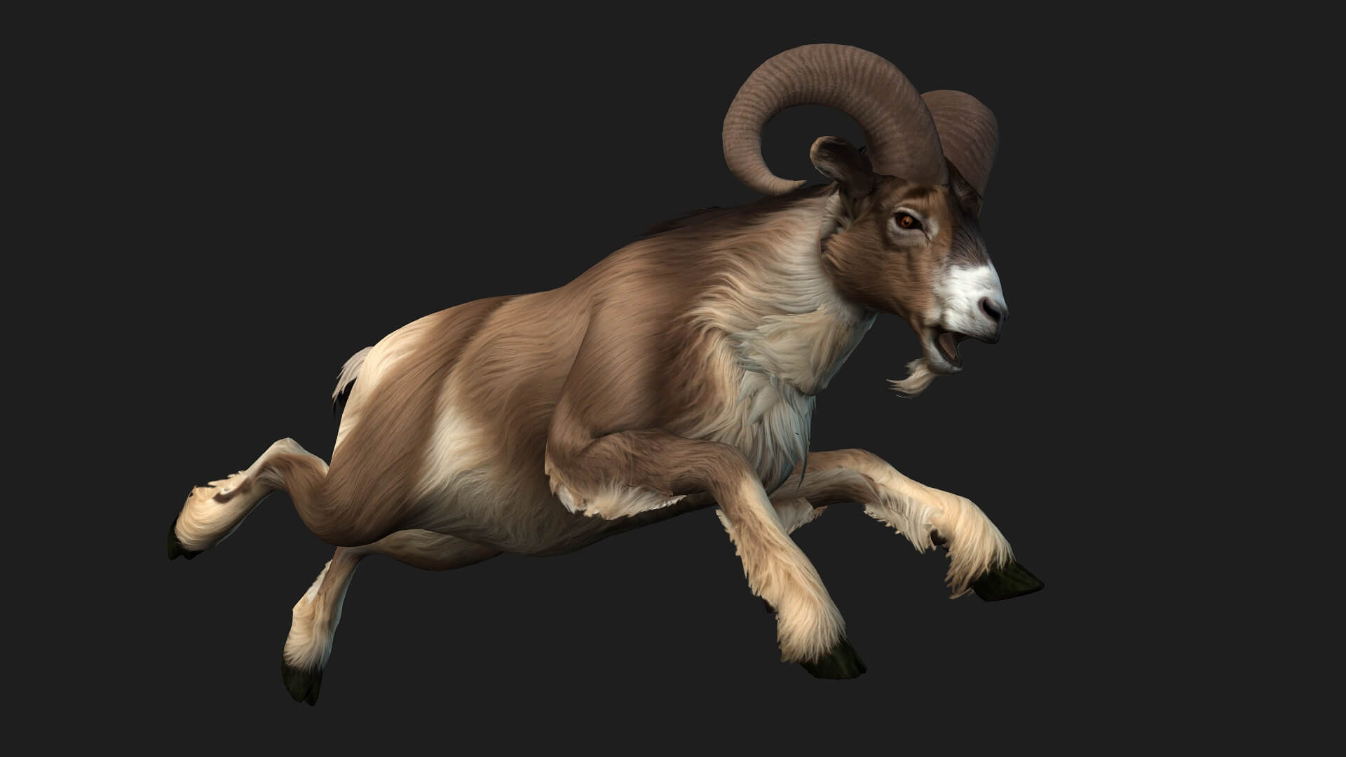 Goat-B1-Animated 3D Model by Animated3d