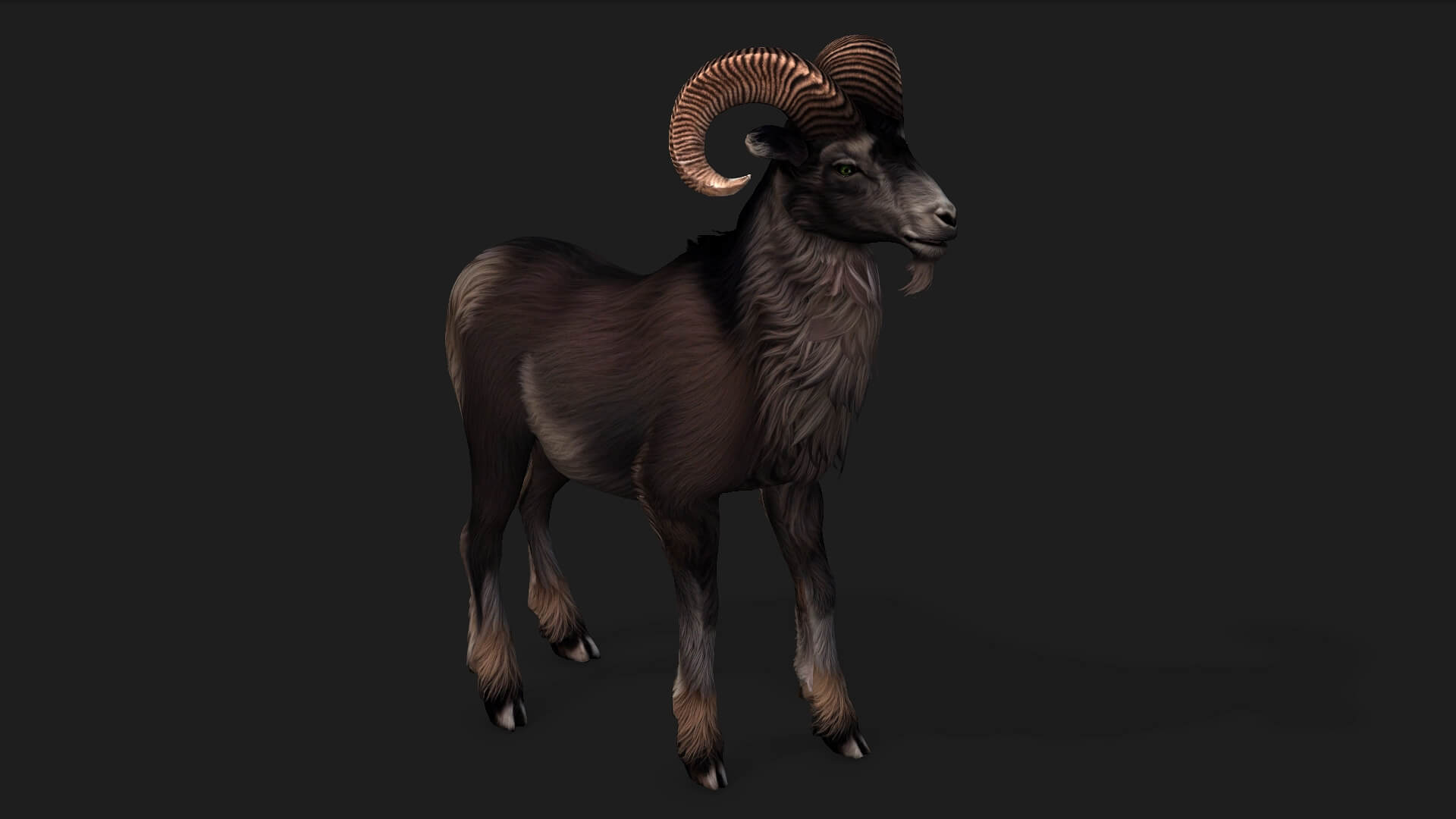 Goat-B2-Animated 3D Model by Animated3d