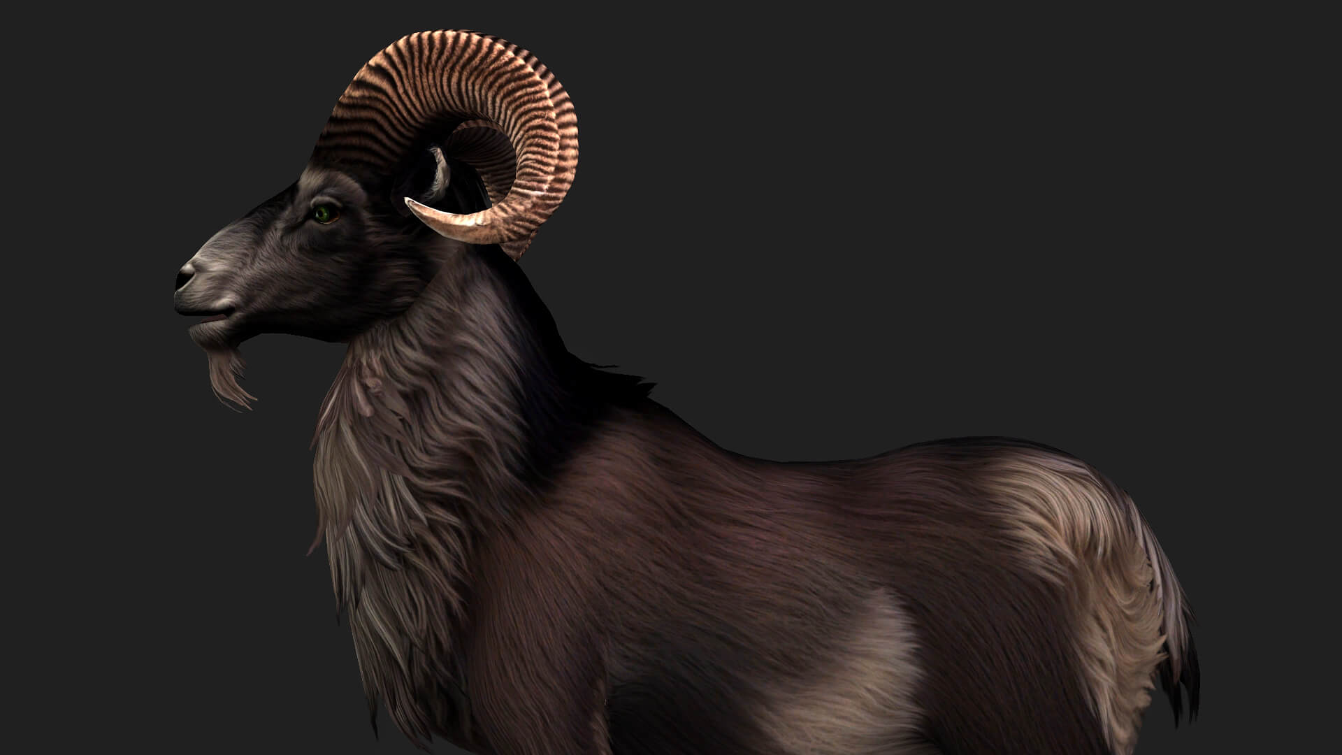 Goat-B2-Animated 3D Model by Animated3d