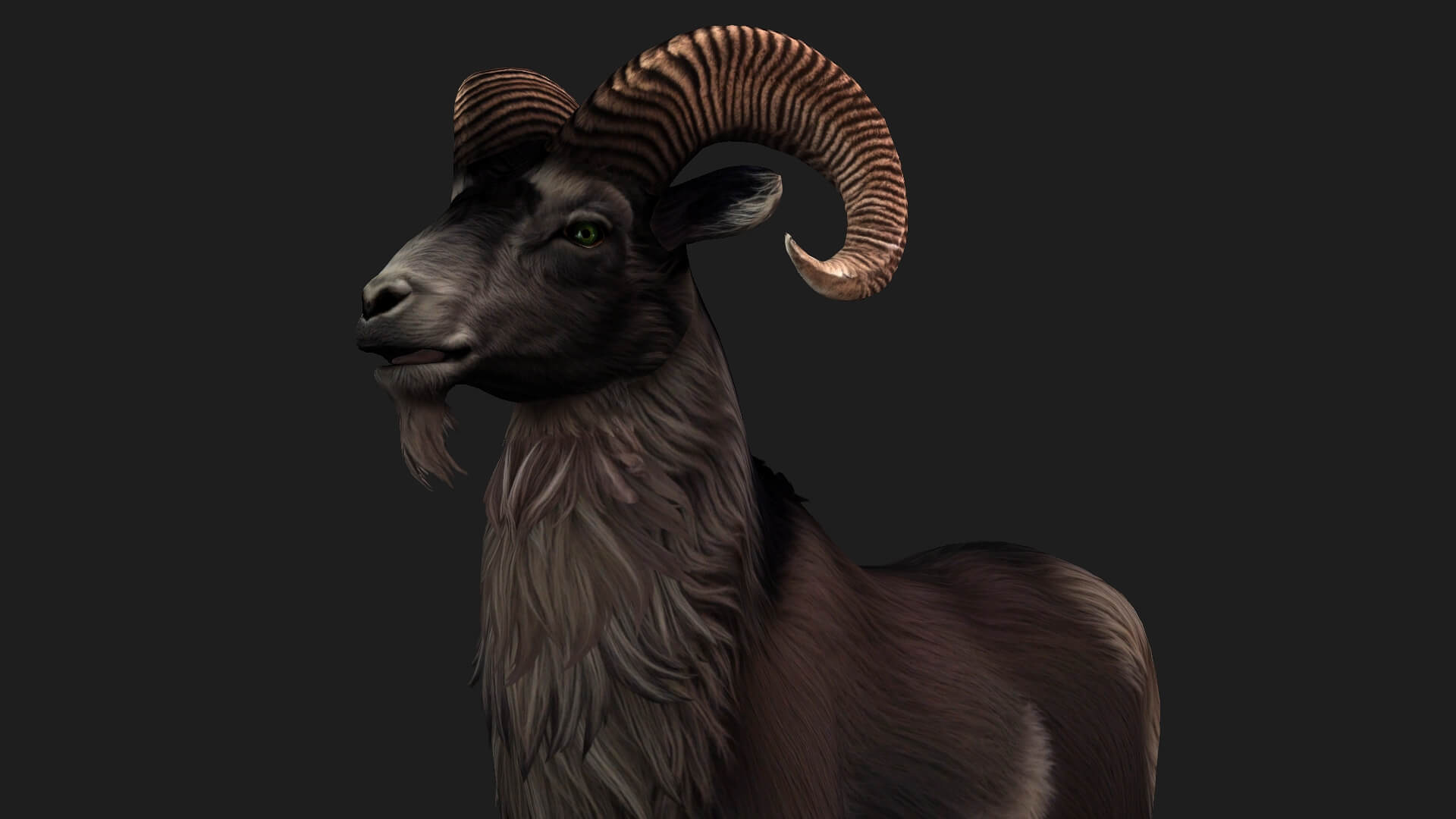 Goat-B2-Animated 3D Model by Animated3d
