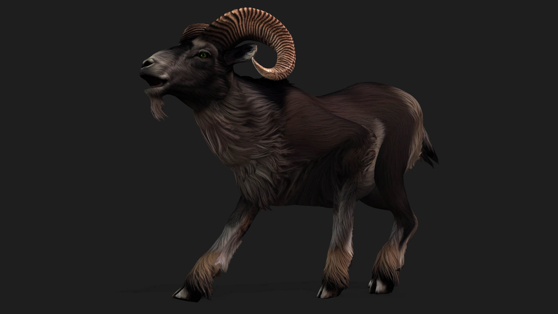 Goat-B2-Animated 3D Model by Animated3d
