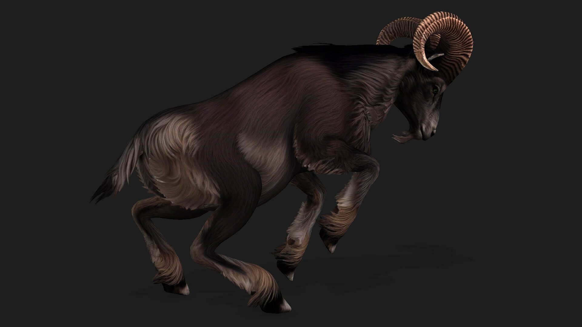 Goat-B2-Animated 3D Model by Animated3d
