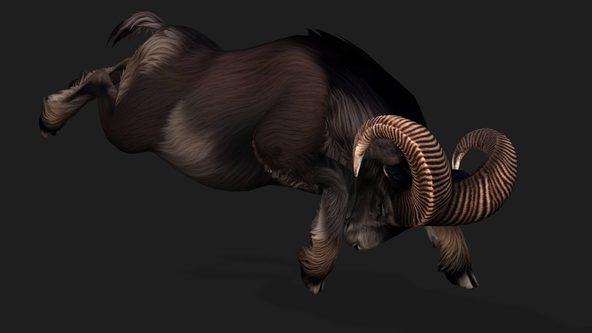 Goat-B2-Animated 3D Model by Animated3d