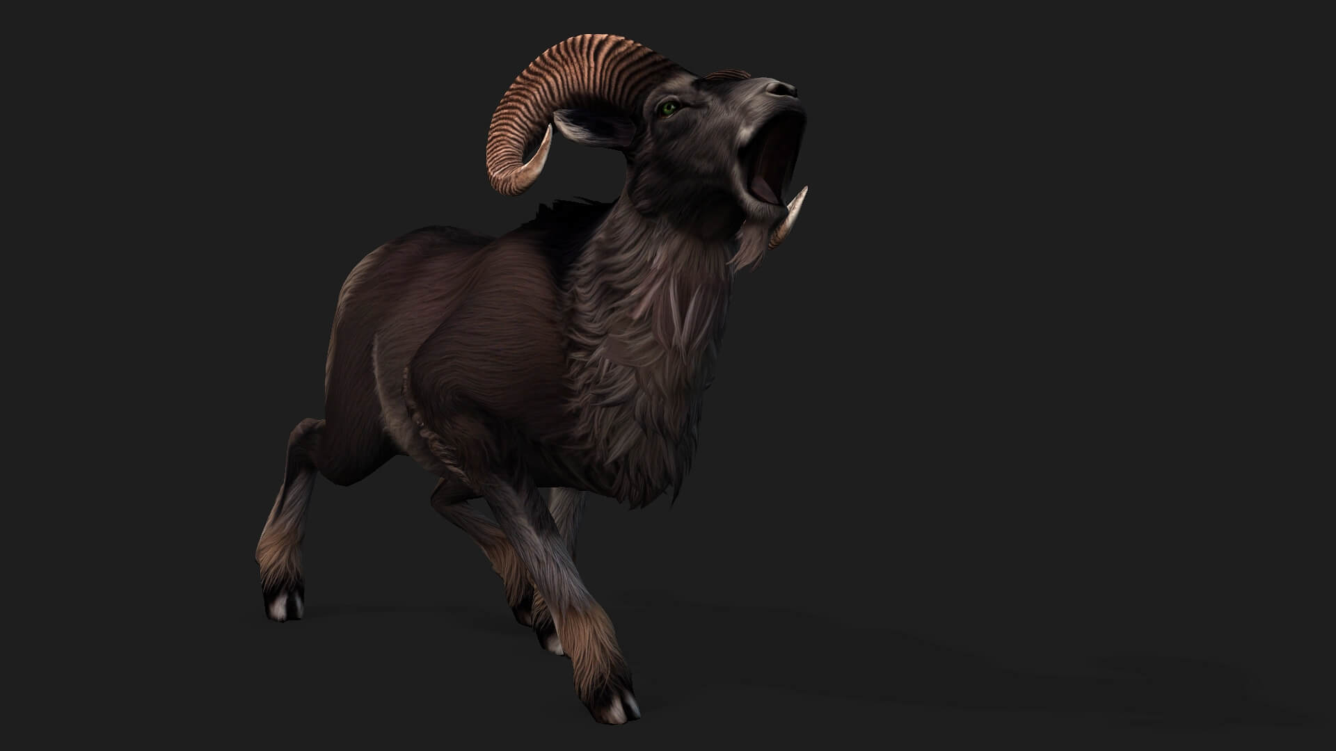 Goat-B2-Animated 3D Model by Animated3d