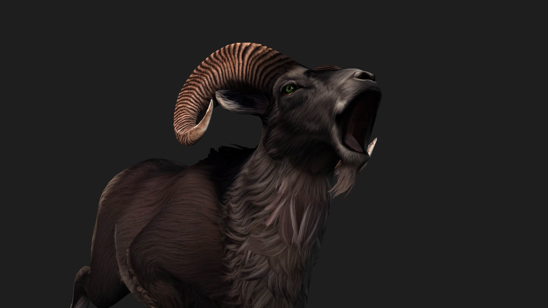 Goat-B2-Animated 3D Model by Animated3d