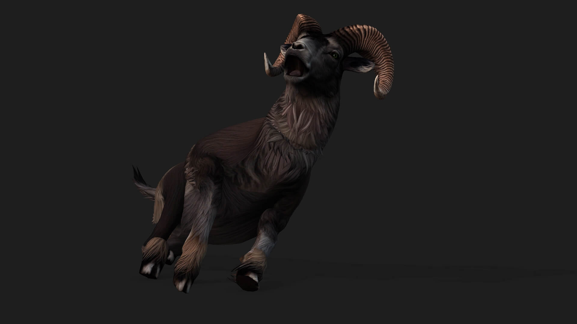 Goat-B2-Animated 3D Model by Animated3d
