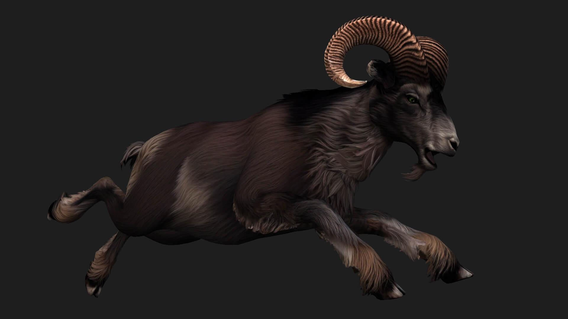 Goat-B2-Animated 3D Model by Animated3d