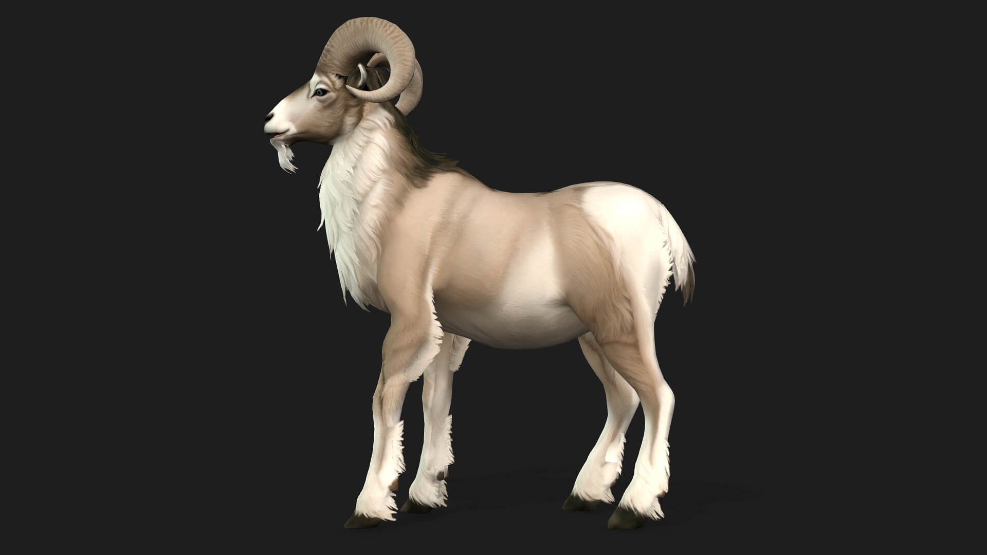 Goat-B3-Animated 3D Model by Animated3d
