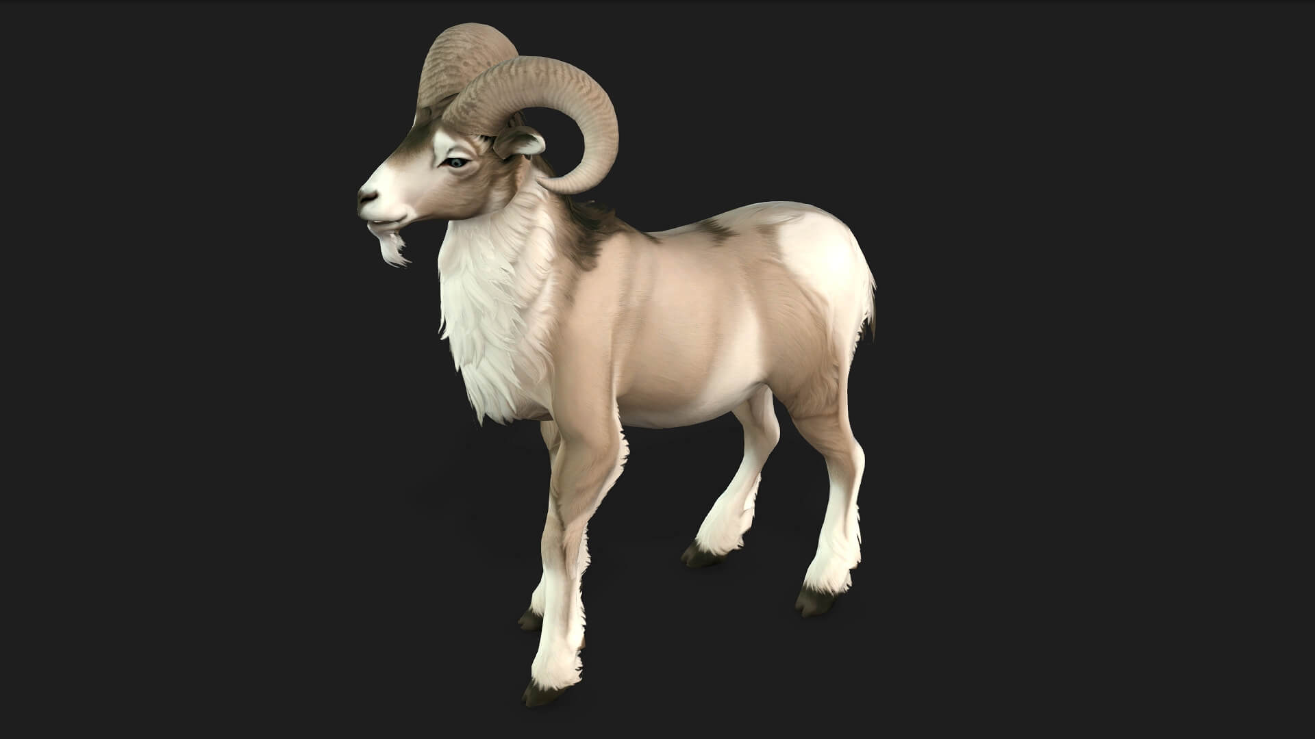 Goat-B3-Animated 3D Model by Animated3d