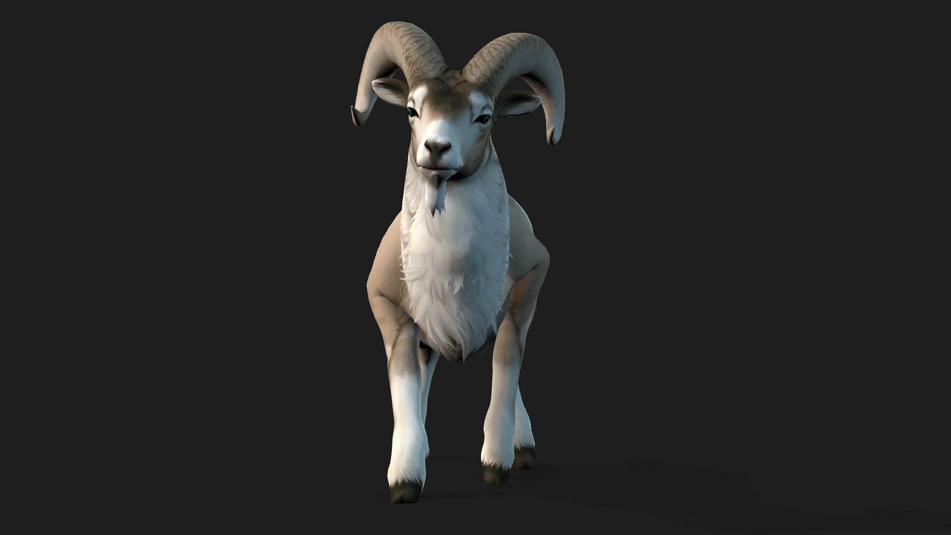 Goat-B3-Animated 3D Model by Animated3d