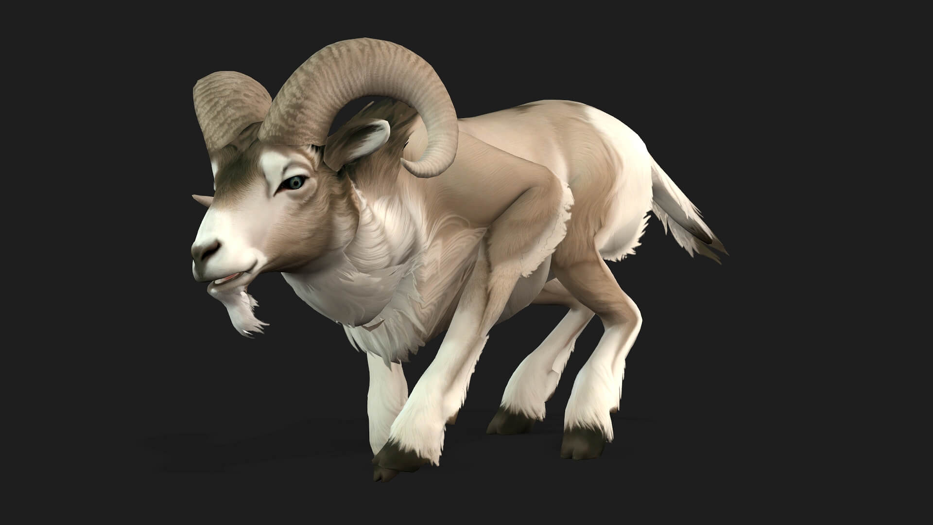 Goat-B3-Animated 3D Model by Animated3d