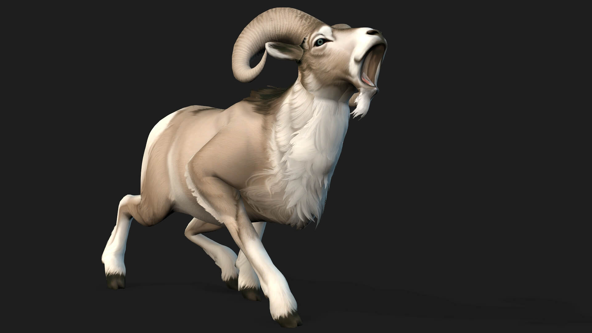 Goat-B3-Animated 3D Model by Animated3d