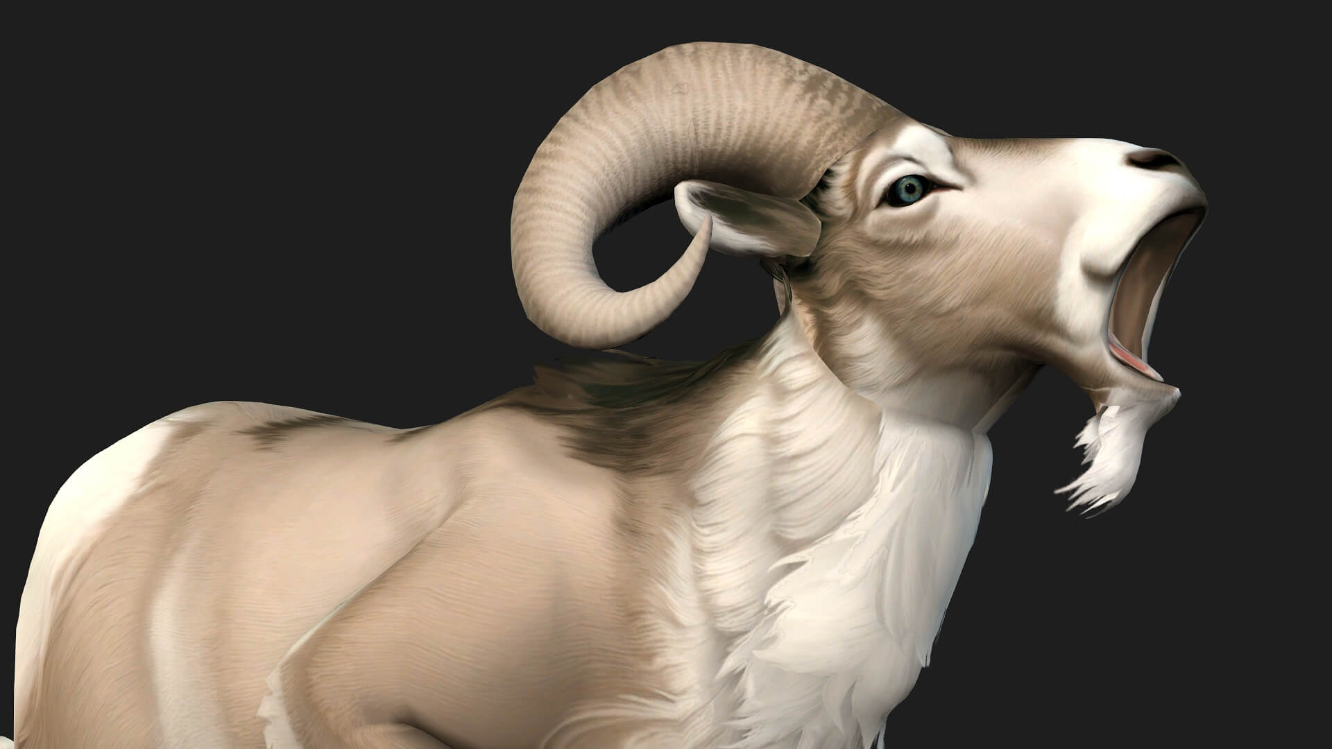 Goat-B3-Animated 3D Model by Animated3d