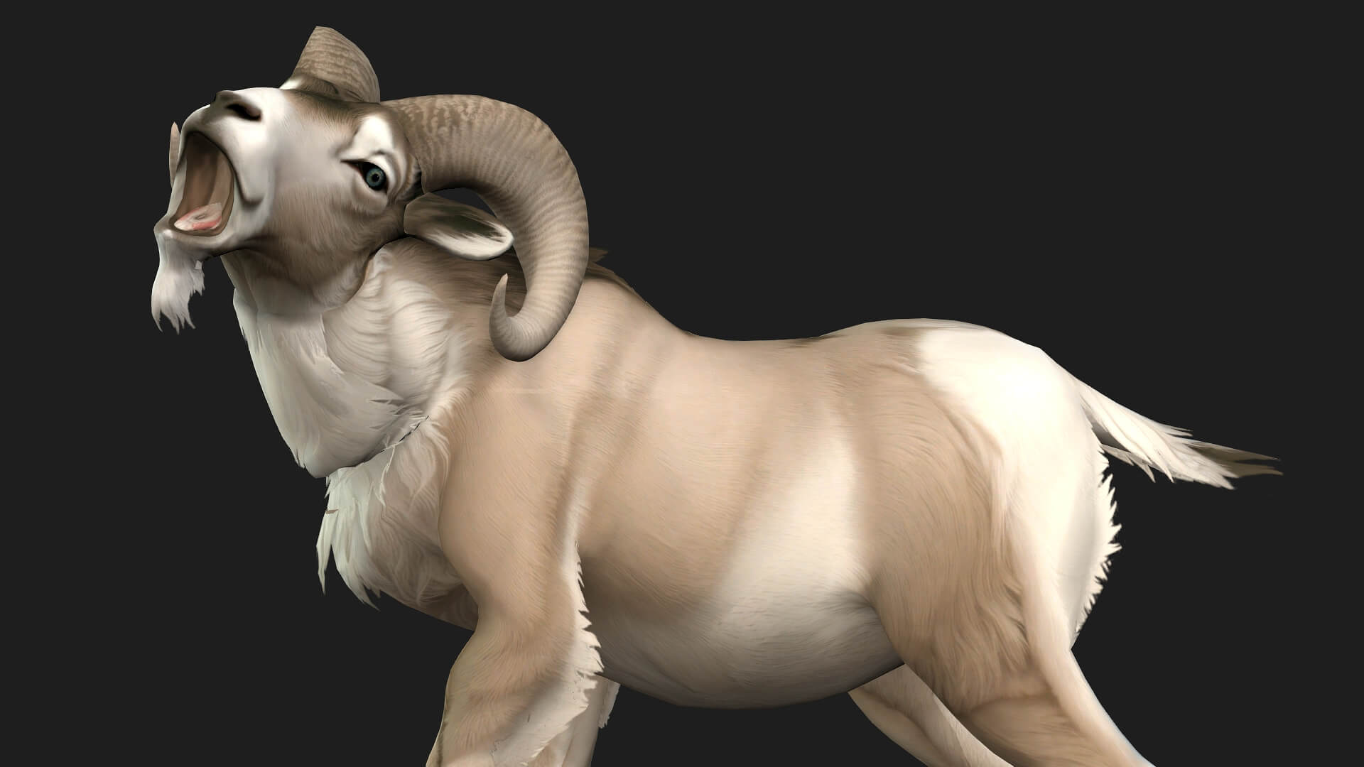 Goat-B3-Animated 3D Model by Animated3d