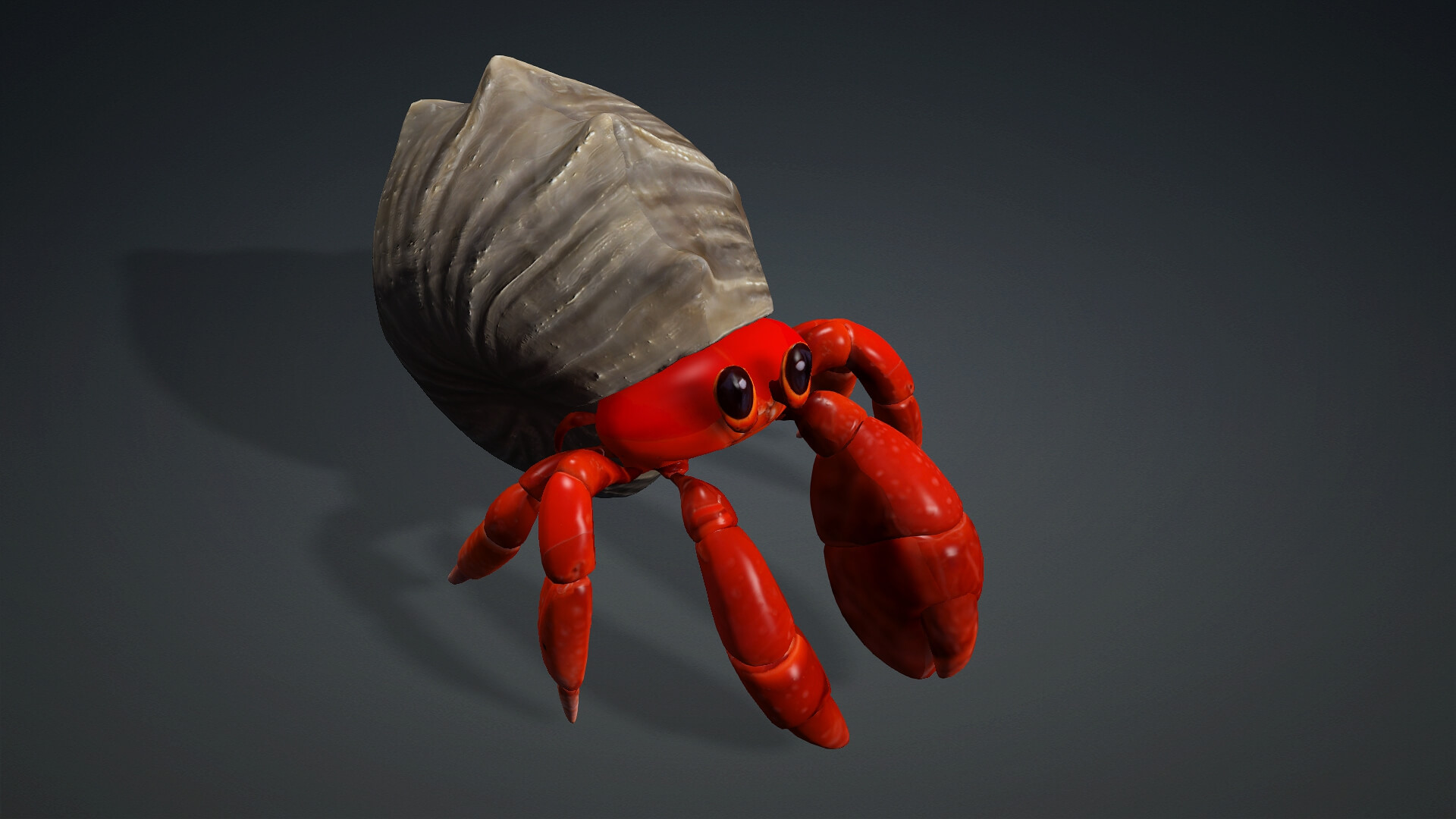 Hermit Crab-A2 3D Animation by Animated3d