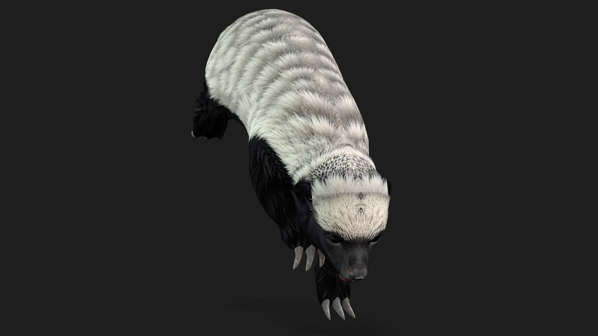 Honey-Badger 3D Model by Animated3d