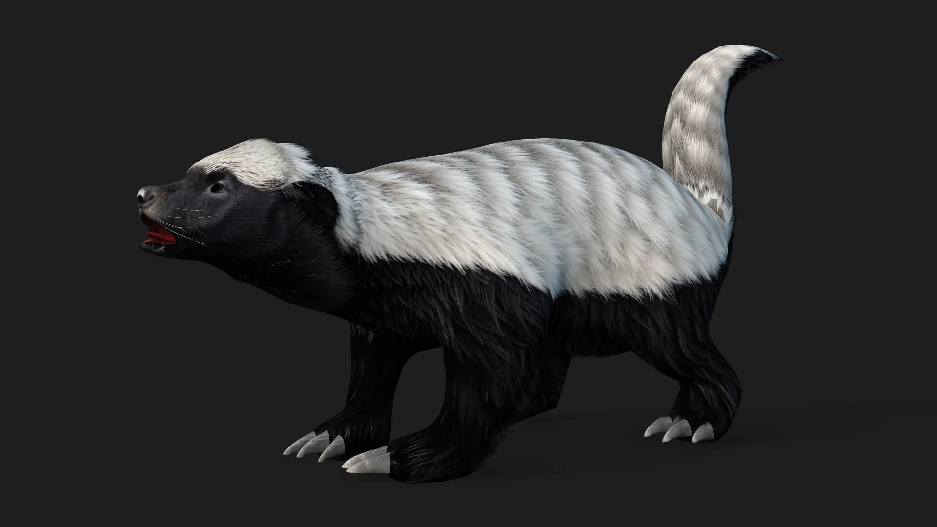 Honey-Badger 3D Model by Animated3d