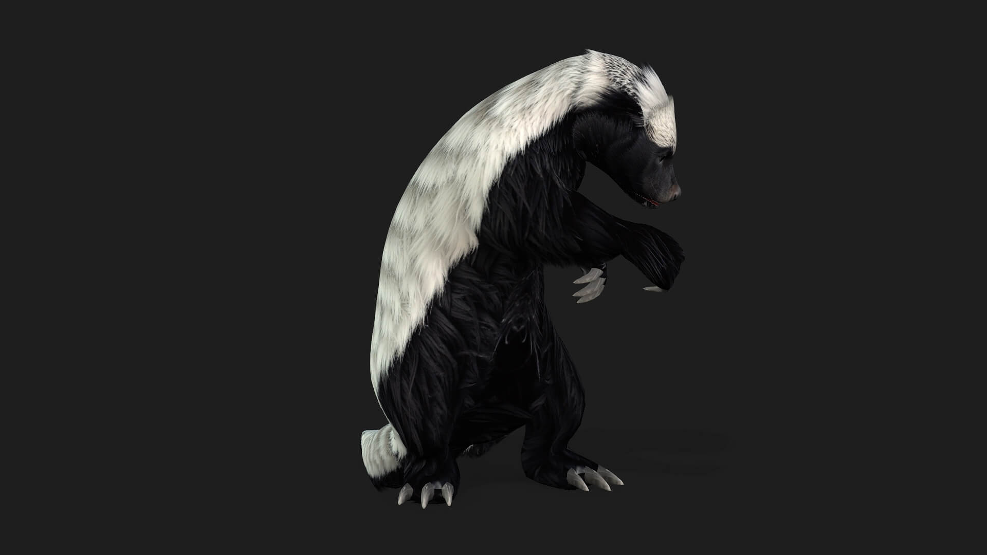 Honey-Badger 3D Model by Animated3d