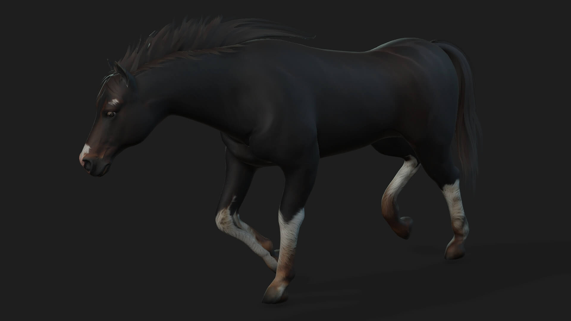 Horse A1 Animated - 3D Model by Animated3d