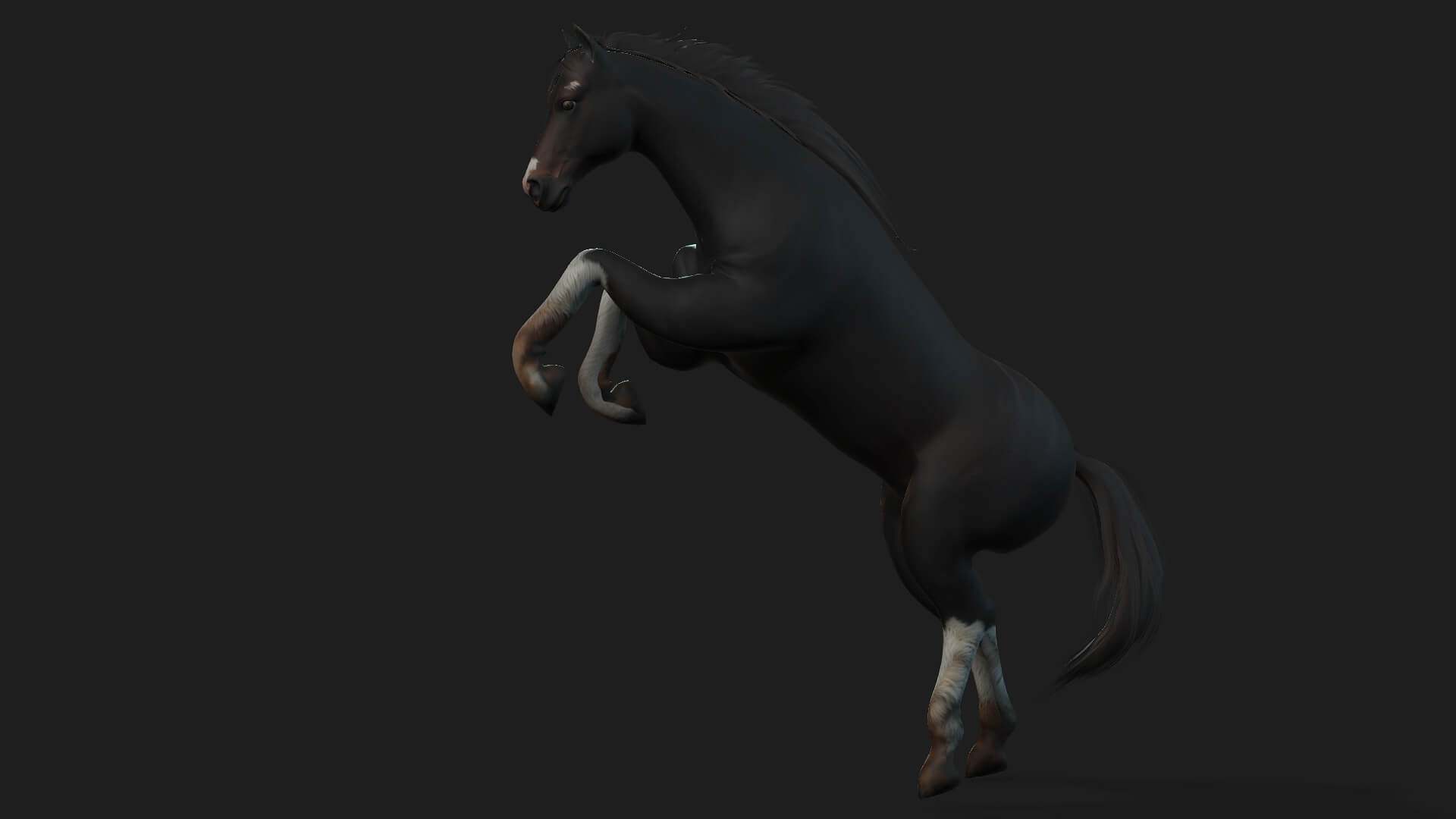 Horse A1 Animated - 3D Model by Animated3d