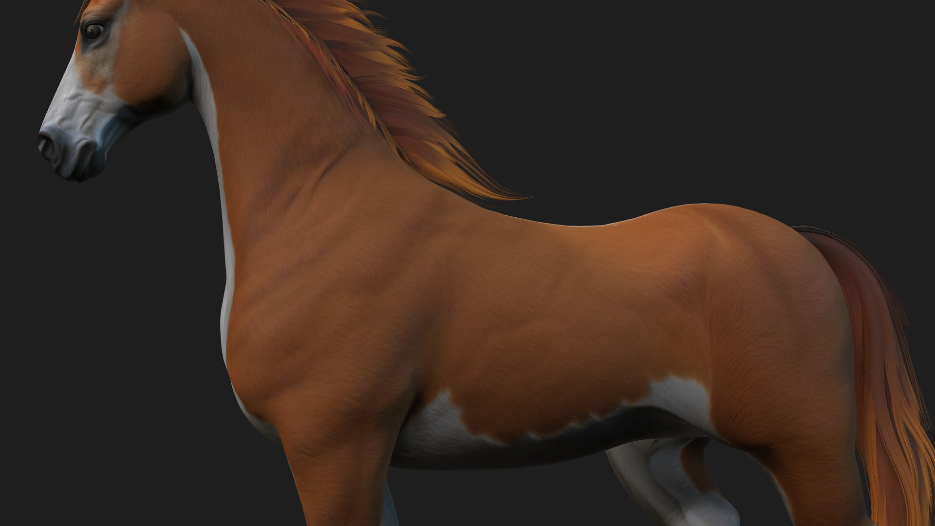 Horse A2 Animated - 3D Model by Animated3d