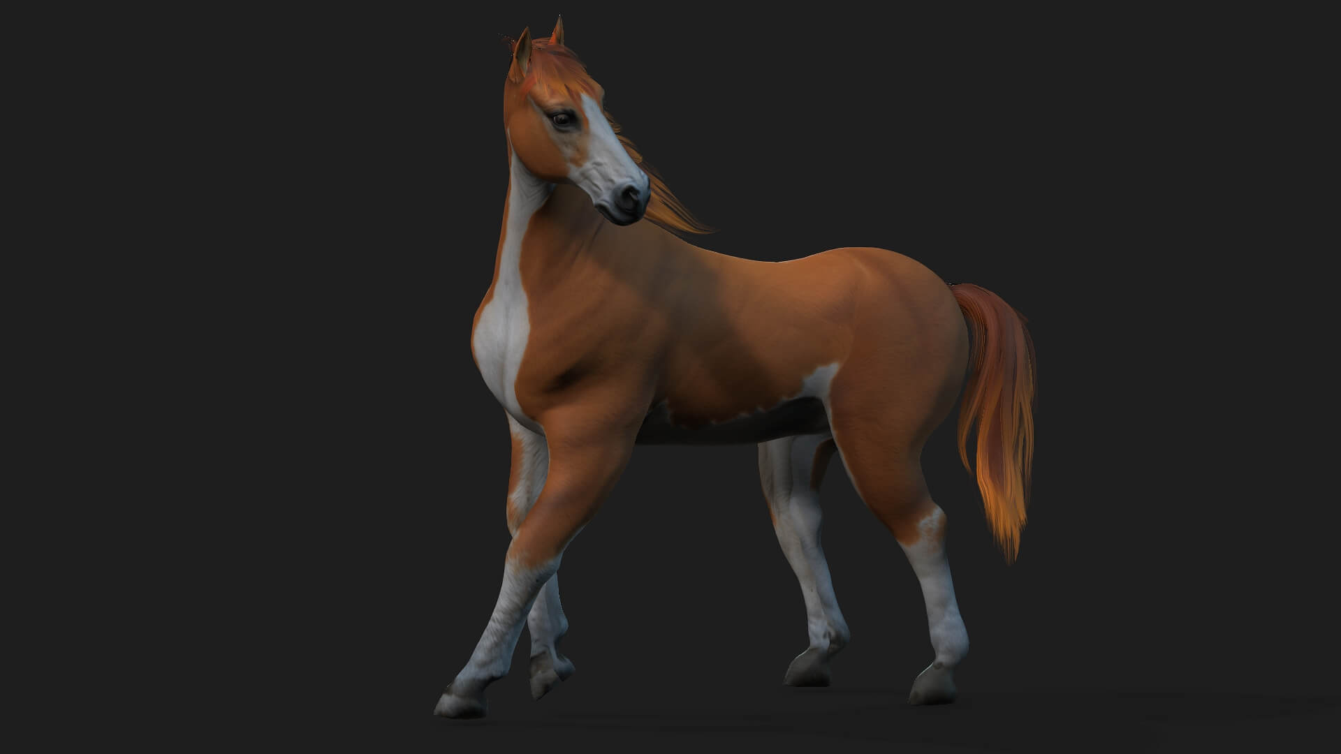 Horse A2 Animated - 3D Model by Animated3d