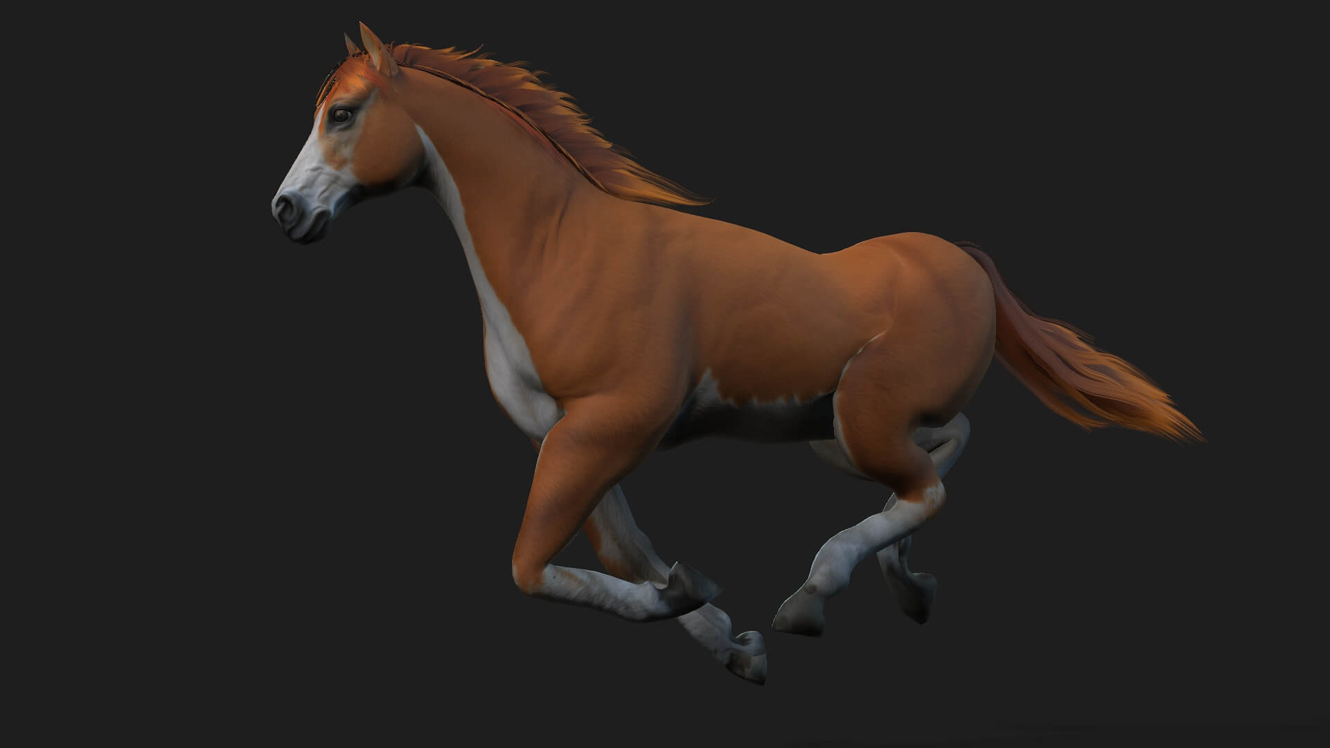 Horse A2 Animated - 3D Model by Animated3d